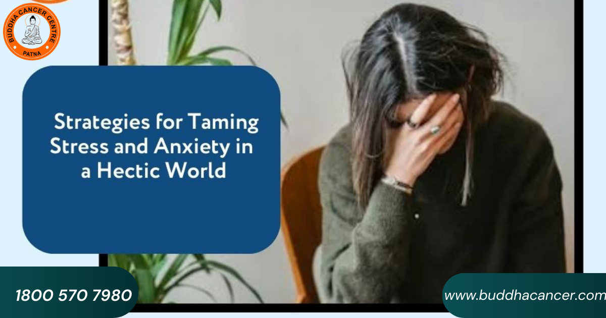 Strategies for Taming Stress and Anxiety in a Hectic World